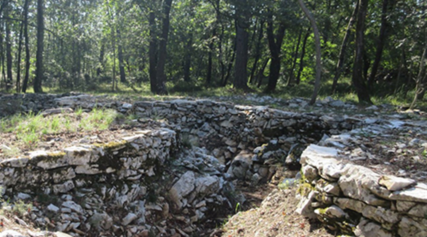 Parco 97 nel Bosco Fornace di Prosecco