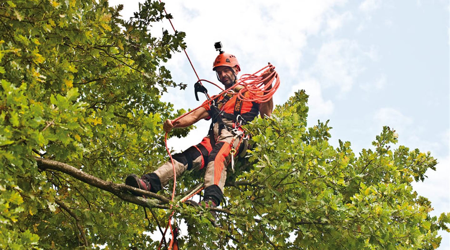 Il Rôl dal Nono Carli