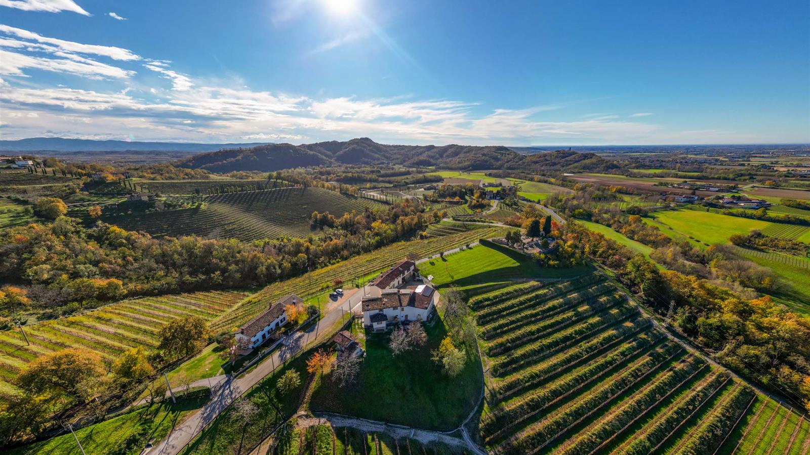 3 esperienze indimenticabili in Collio: un viaggio sensoriale tra ...